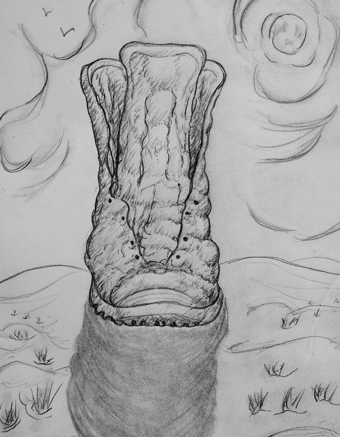 Brad Cole Photography - Come forth into the light of things, let nature ...